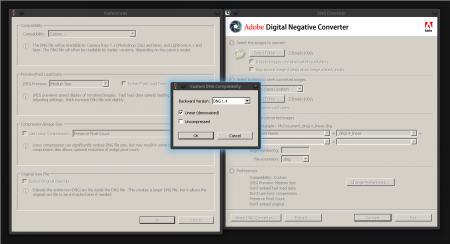 How to convert raw formats to DNG - RawPedia